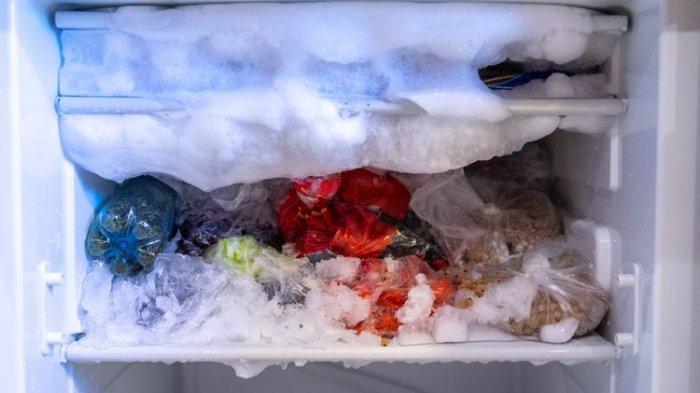 5 Tips Penggunaan Freezer yang Tepat untuk Memperpanjang Masa Pakai ...