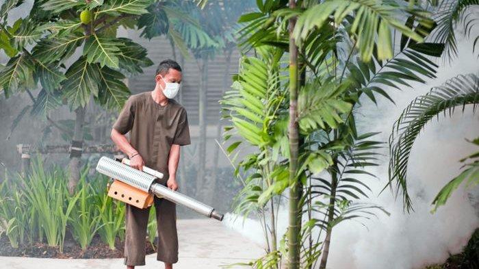 Apakah Benar Fogging Aman dan Efektif untuk Basmi Nyamuk? Ini Faktanya ...