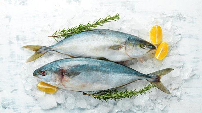 9 Jenis Ikan yang Sebaiknya Dihindari Penderita Asam Urat ...