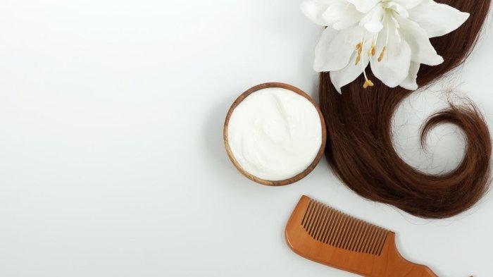 5 Rekomendasi Hair Mask dari Bahan Alami yang Bisa Dibuat Sendiri di ...