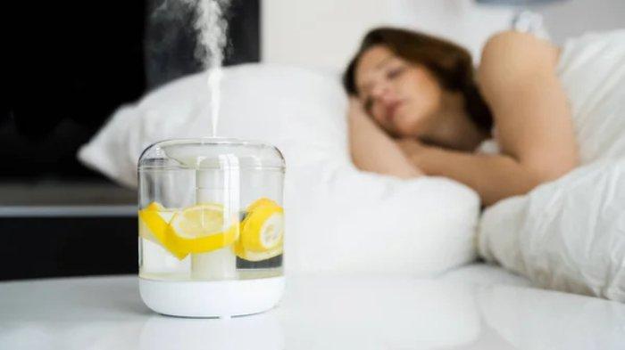 7 Rekomendasi Humidifier Terbaik untuk Kenyamanan Ruang, Banyak yang di ...