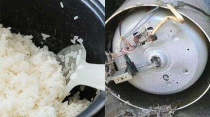 5 Penyebab Rice Cooker Berbau Tak Sedap, Termasuk Pembersihan yang Tak ...