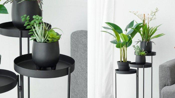 Bikin Rumah Terasa Asri, 5 Rekomendasi Rak Informa Ini Praktis dan ...