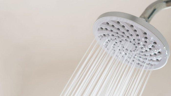 Ingin Mandi Sekaligus Relaksasi? Ini 5 Rekomendasi Shower Kualitas ...