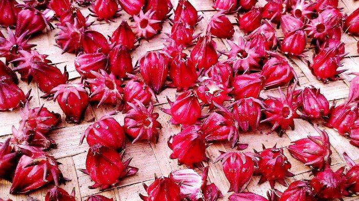 10 Manfaat Bunga Rosella dan Cara Membuatnya, Ramuan Tradisional Ampuh ...