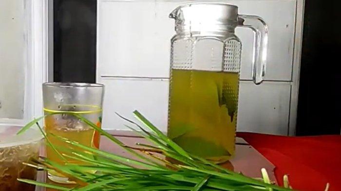 Rumput Teki yang Sering Dianggap Gulma, Ternyata Punya 9 Manfaat Ini ...