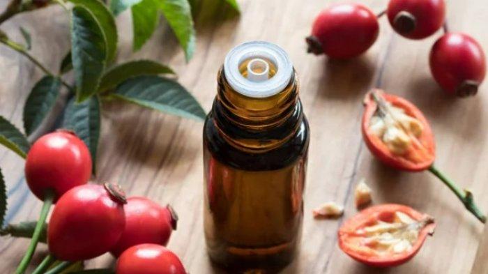 Rosehip Oil Populer di Dunia Skincare, Ternyata Ini 7 Manfaat untuk ...