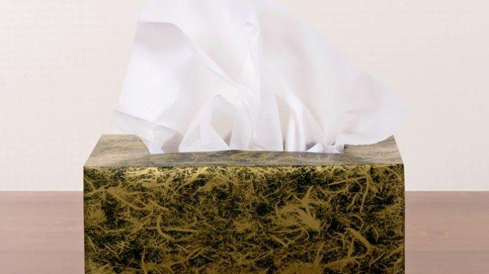 Ini 5 Rekomendasi Produk Tissue yang Wajib Tersedia di Meja Rumahmu ...