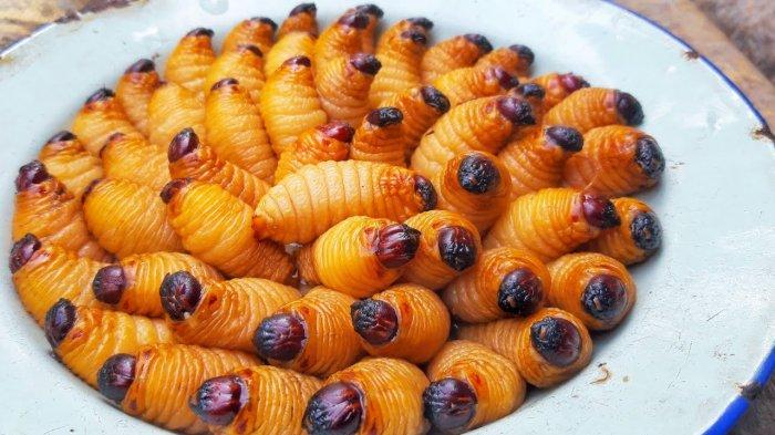 8 Khasiat Ulat Sagu dan Cara Memasaknya, Ternyata Bisa Tingkatkan Imun ...