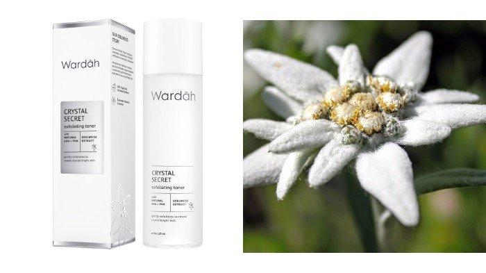 Review Wardah Crystal Secret Exfoliating Toner with Natural AHA+PHA ...