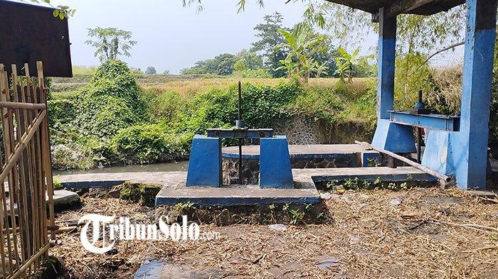 Kisah Sedih Darmo Tirto, Sang Penjaga Irigasi Sawah di Delanggu Klaten ...