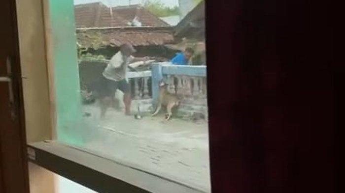 NGERI! Viral Video Brutal Pria di Solo Jagal Anjing Lato hingga Tewas, Ini Kronologinya - Tribun ...
