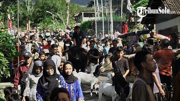 Momen Bakdan Sapi, Tradisi Unik dari Mlambong Boyolali, Sapi Diajak ...