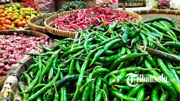 Harga Cabai Rawit Merah di Boyolali Naik, Tembus Rp 75 Ribu Per Kg - Tribunsolo.com