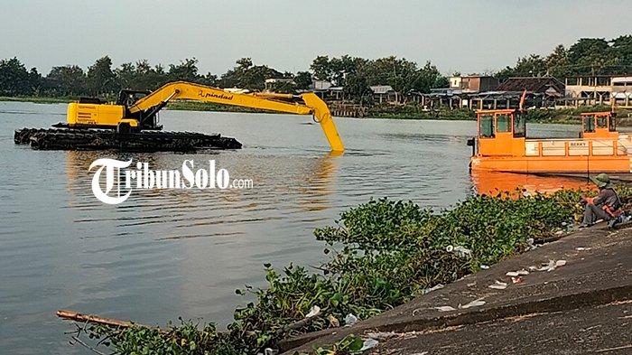 Begini Lho Cara Baru Bersihkan Eceng Gondok di Waduk Cengklik Boyolali ... Begini Lho Cara Baru Bersihkan Eceng Gondok di Waduk Cengklik Boyolali ...