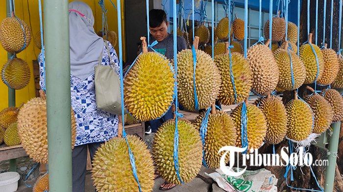 Inilah Tips Memilih Durian ala Pedagang, Dijamin Enak : Dari Aroma Sampai Gagang Masih Basah ...