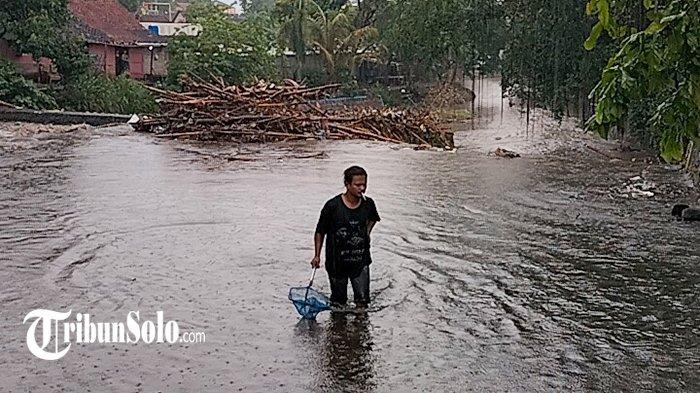 Fenomena Ikan Cetol di Sungai Pleret Pengging Boyolali : Diburu Warga ...