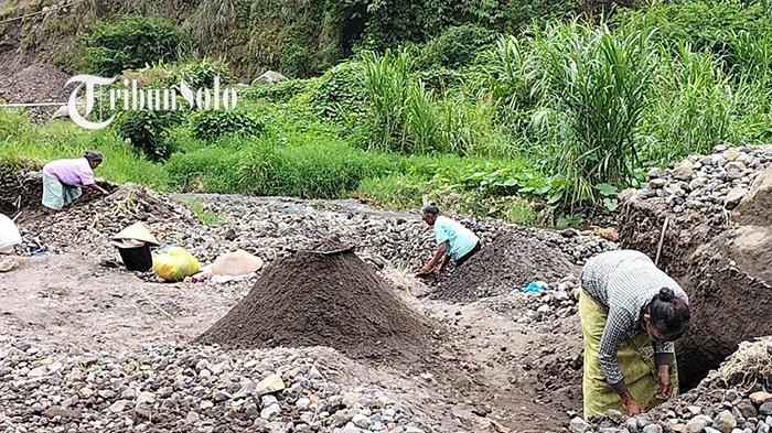 Cerita Penambang Pasir di Kali Apu: Tetap Menambang Meski Dibayangi ...
