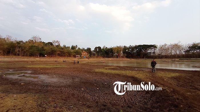 BPBD Wonogiri Jateng Mulai Petakan Wilayah Potensi Terdampak Kekeringan saat Kemarau, Cek Mana ...