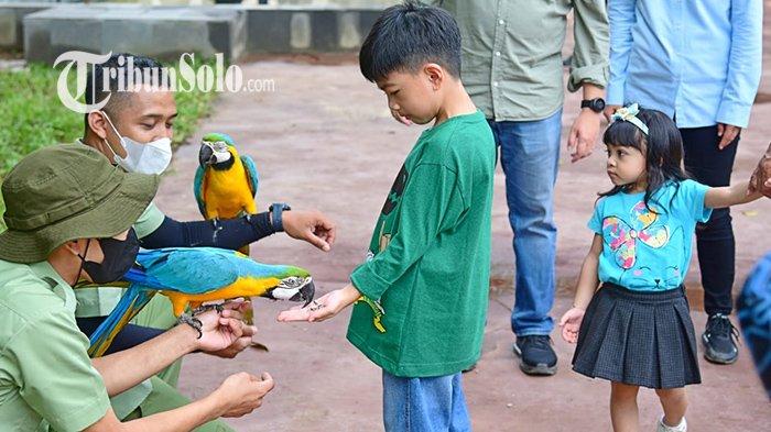 7 Rekomendasi Tempat Wisata Seru di Sekitar Solo Raya, Cocok untuk ...