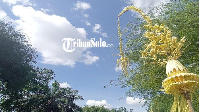 Arti Janur Kuning Pernikahan Kaesang dan Erina, Menghiasi Perempatan ...