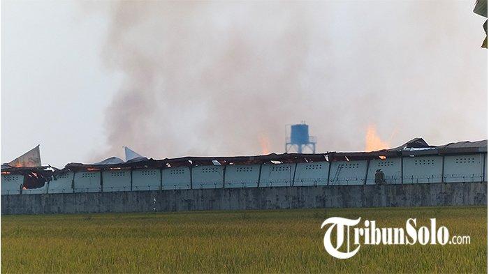 Masih Misteri, Penyebab Gudang Kapas di Kebakkramat Karanganyar Terbakar - Tribunsolo.com