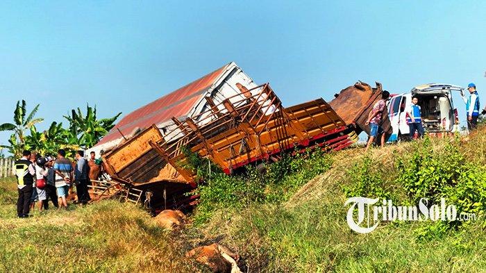 BREAKING NEWS : 5 Sapi Mati Dalam Kecelakaan Truk Boks vs Truk Pengangkut Sapi di Tol Solo-Ngawi ...