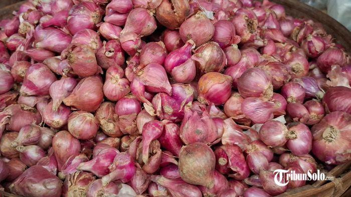 Faktor Harga Bawang Merah di Pasar Bunder Sragen Tembus Rp60.000 per Kg ...