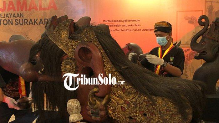 Uniknya Cara Membersihkan Canthik Rajamala, Gunakan Teknik Ilmiah tapi ...