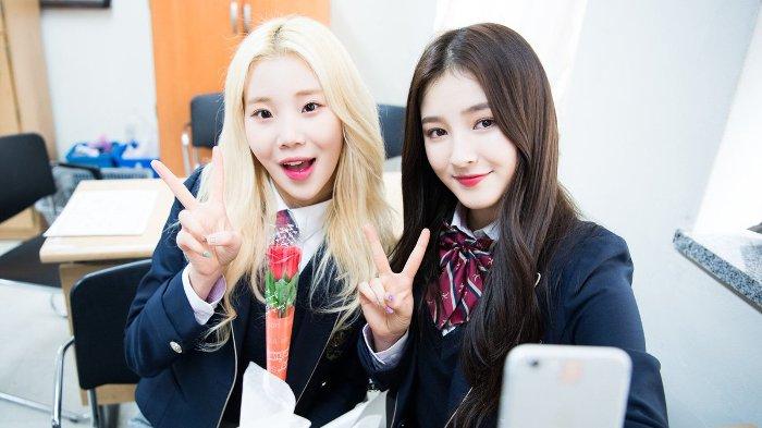 MOMOLAND Resmi Dibubarkan, Nancy dan JooE Diharapkan Makin Bersinar di ...