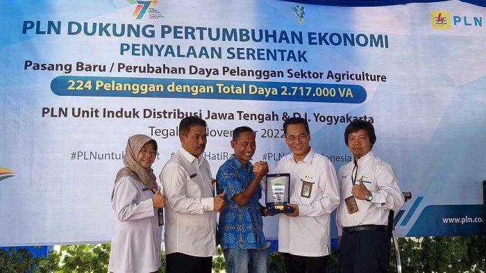 PLN Nyalakan Serentak 224 Pelanggan di Sektor Agrikultur, Wujud Dukung Pertumbuhan Ekonomi ...