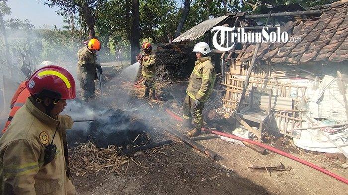 Kandang Ternak di Klaten Jateng Terbakar, Diduga Akibat Puntung Rokok Menyambar Jerami ...