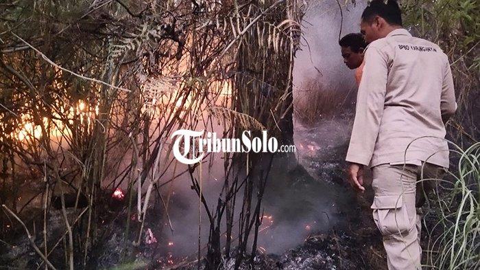 Kebakaran Hutan Gunung Lawu : Sudah Padam, Api Berkobar 12 Jam Lebih ...