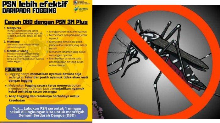 Waspada Kasus DBD Makin Marak, Dinkes Karanganyar Sarankan Langkah PSN ...
