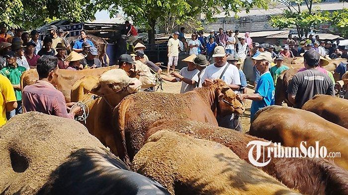 Sukoharjo Ikut Antisipasi Kasus Antraks Gunung Kidul, Sapi Masuk Wajib ...