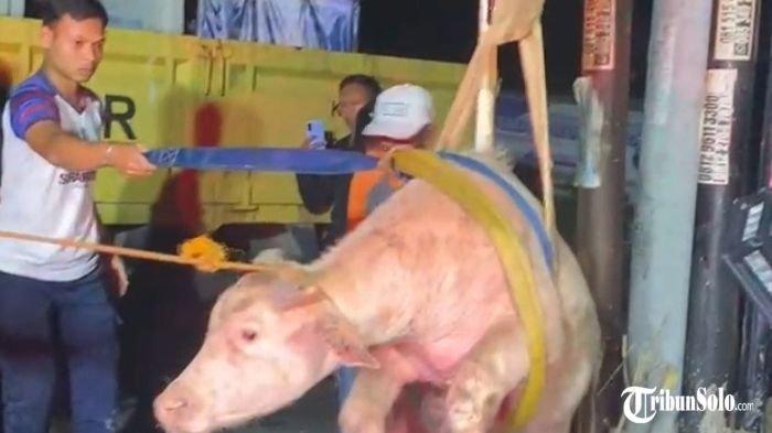 Kala Petugas Pemadam Kebakaran Boyolali 2 Jam Berjibaku Evakuasi Anak ...