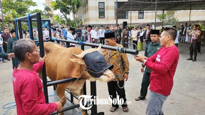 Masjid Agung Al Aqsha Klaten Punya Alat Jagal 'Restraining Box ...