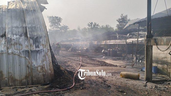 Diduga Korsleting, 2 Kandang Ayam di Plesan Sukoharjo Jateng Terbakar, 25 Ribu Ayam Mati ...