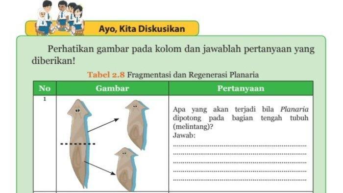 Kunci Jawaban IPA Kelas 9 SMP Halaman 92, 93, 94, 95, 96: Fragmentasi ...