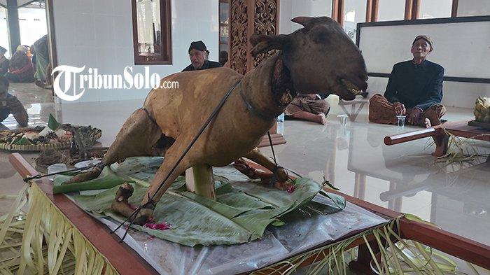 Potret Kambing Kendit, Tradisi Rasulan Desa Wiro Bayat, Persembahan ...