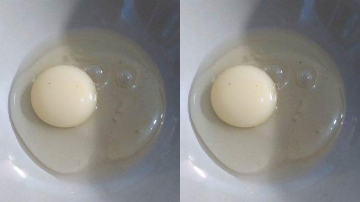 Viral Penampakan Kuning Telur Berwarna Pucat, Ternyata Masih Bisa ... Viral Penampakan Kuning Telur Berwarna Pucat, Ternyata Masih Bisa ...