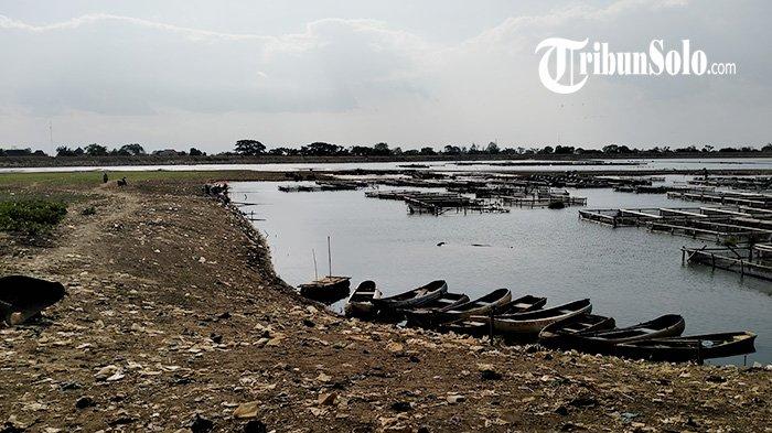 Musim Kemarau, Waduk Mulur Sukoharjo Mengering, Petani Keramba Merugi ...