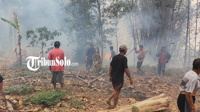 Kebakaran di Kawasan Musuk Boyolali Padam, Api Tak Sampai Masuk Hutan ...