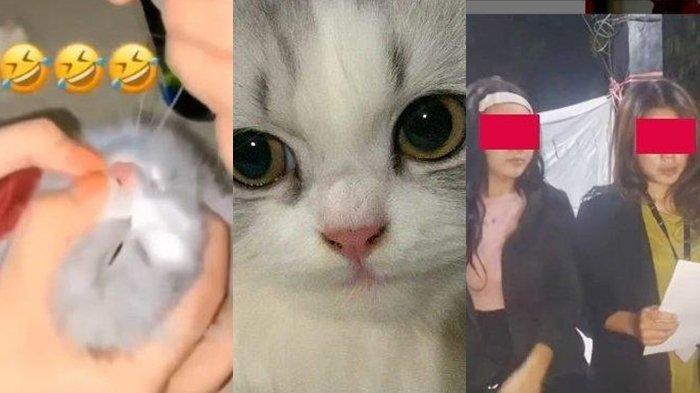 Bermula Ingin Viral, 3 Wanita Padang Kini Divonis 2 Bulan Setelah ...