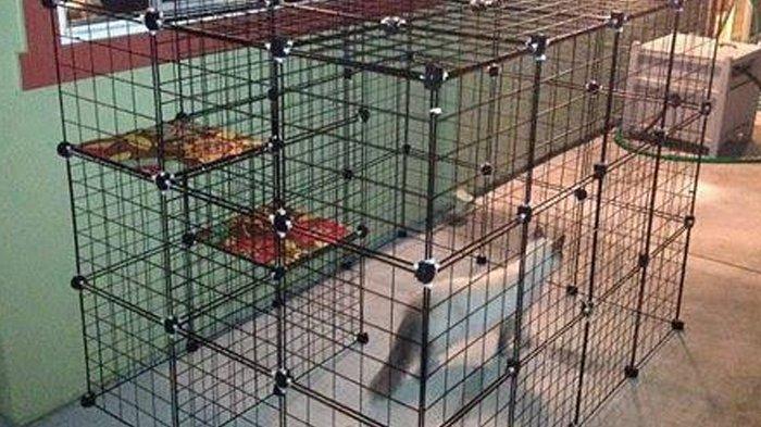 Kejamnya Nyonya Azlin Arujunah, Anak Dimasukkan Kandang Kucing lalu ...