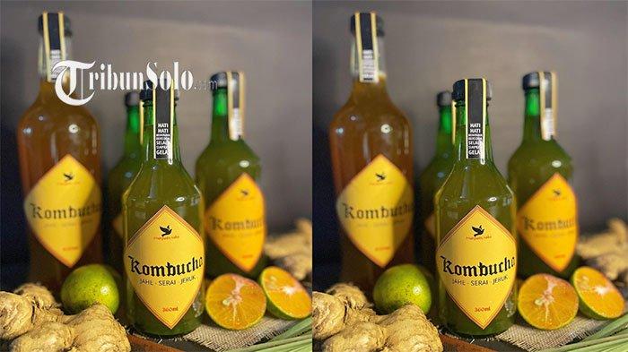 Manfaat Mengonsumsi Kombucha untuk Kesehatan, Dapat Menjaga Daya Tahan ...