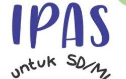 Kunci Jawaban IPAS Kelas 4 SD Kurikulum Merdeka: Halaman 43 ...