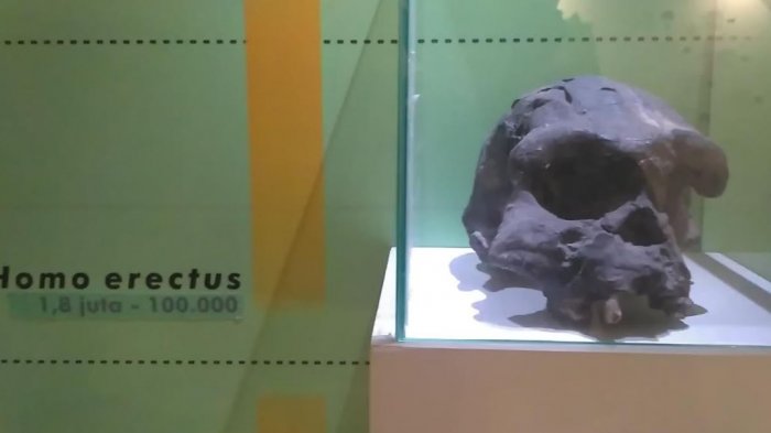 Jadwal Pembukaan Museum Purba Sangiran, Simulasi Dilakukan Selasa 6 ...