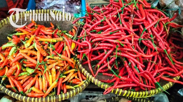 Harga Cabai Rawit Merah di Boyolali Kembali Meroket : Tembus Rp 60 Ribu/Kg, Gegara Petani Tak ...