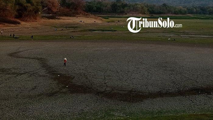 Musim Kemarau Diprediksi Hingga November, Sumber Air di Wonogiri Banyak Menurun - Tribunsolo.com